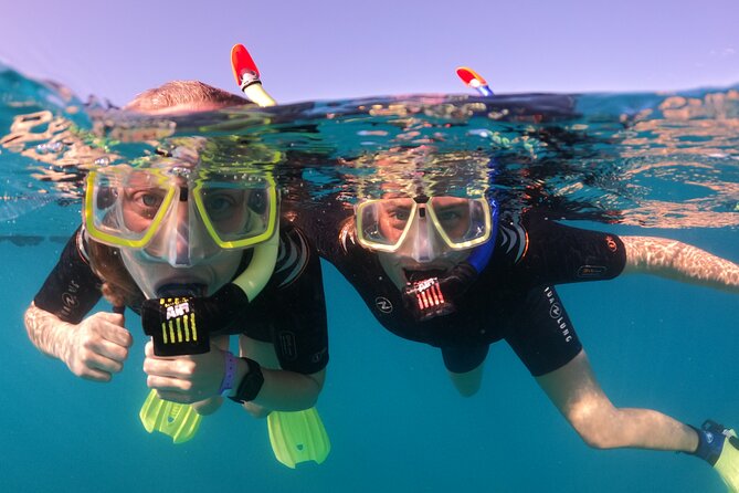 Small Group Snorkeling in Abades Bay with Licensed Guide - The Value of the Experience