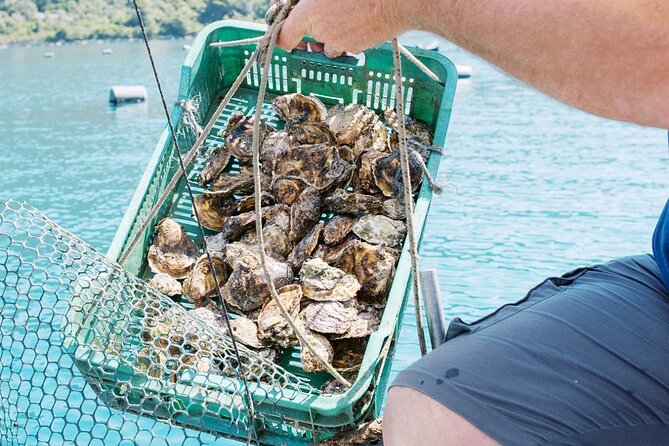 Ston Gastro Tour - FAQs about the Ston Gastro Tour