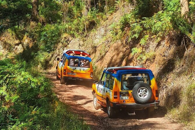 Sunny Southwest, Rum, Banana, Waterfall and Lighthouse Discovery - The Final Verdict: Who Is This Tour Best Suited For?