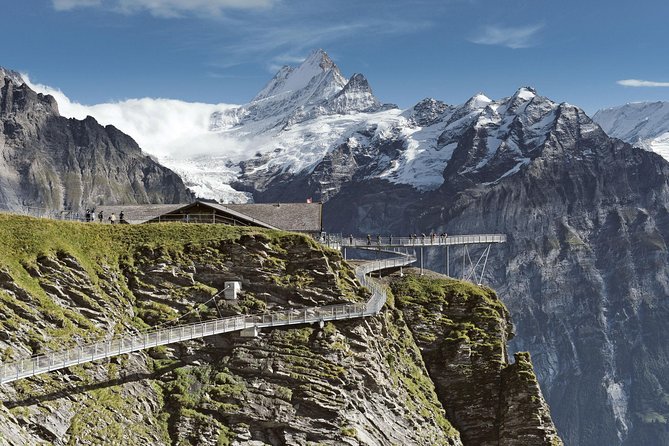 Swiss Alps: Interlaken and Grindelwald Day Trip from Zurich - Who Should Book This Tour?