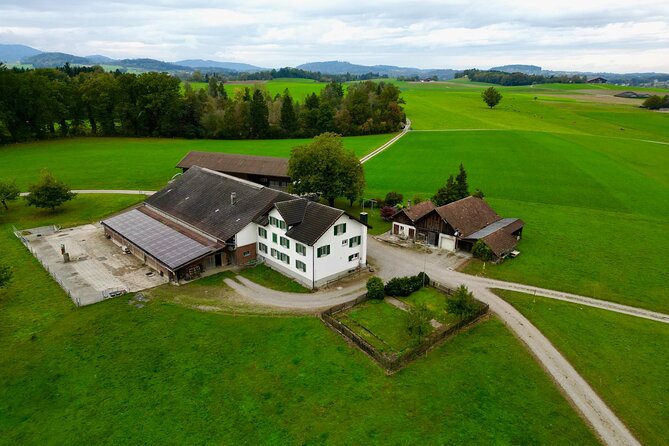 Switzerland Picturebook Private Tour: Farm, Villages, & Mountains - Frequently Asked Questions
