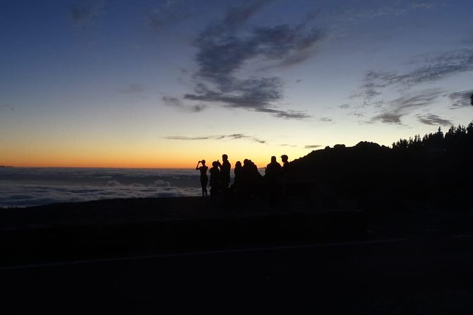 TEIDE NIGHT, Stargazing Bus Tour, Meal & Drinks included! - Who Will Love This Tour?
