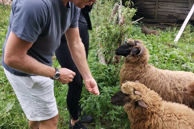 The Biggest Salt Mine in Europe and the Carpathian Authentic Villages - Final Thoughts: Who Is This Tour For?
