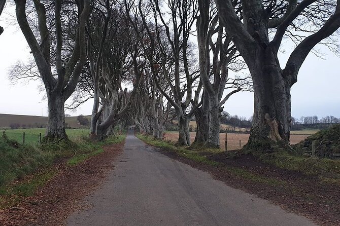 The Giant's Causeway, Dunluce Castel and Belfast - Spanish guide - Final Thoughts on Value and Suitability