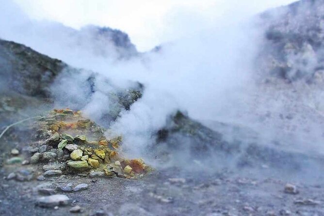 Tour privato a Pozzuoli Bacoli - Final Thoughts