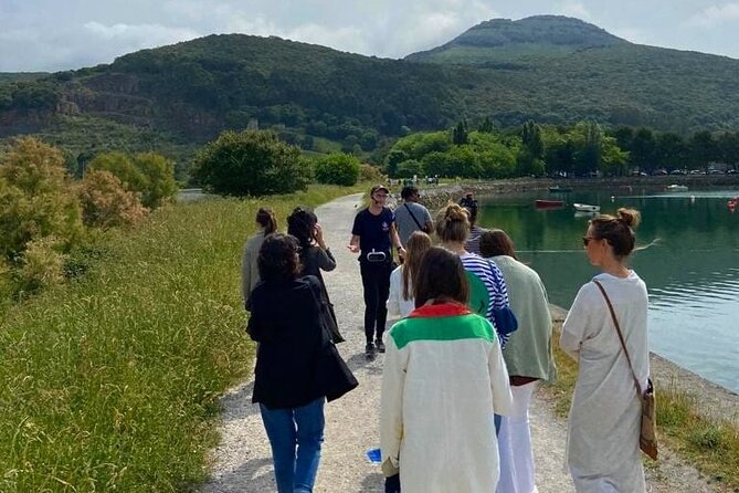 Tour to the Anchovies Factory and Santoña Marshes with Tasting - Authentic Experiences and Visitor Feedback