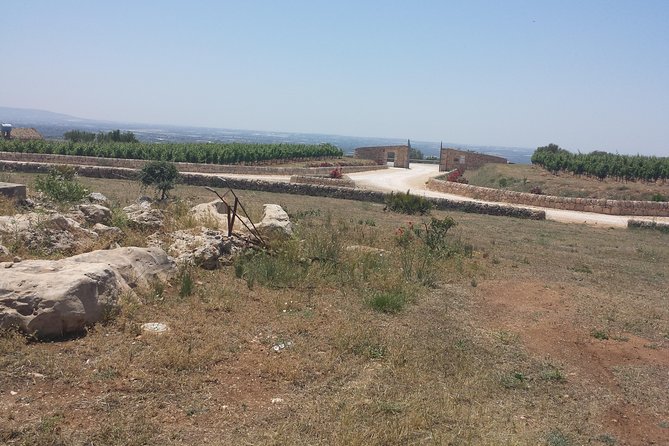 Transfer from and to Catania Airport Taormina Giardini Naxos Letojanni Mazzarò. - FAQs