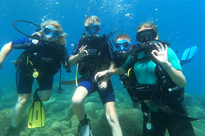 Try Scuba Diving Puerto Colon - Reviews and Authentic Feedback