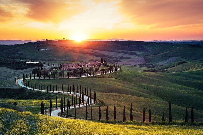 Tuscany Countryside including Wine Tasting & Lunch - Private Day Trip from Rome - Final Thoughts