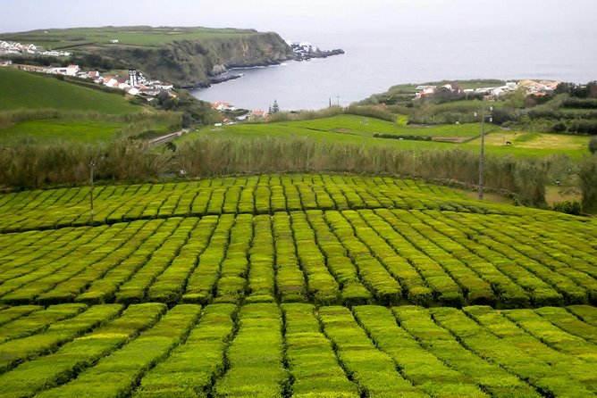 Van Tour Nordeste - Frequently Asked Questions (FAQs)