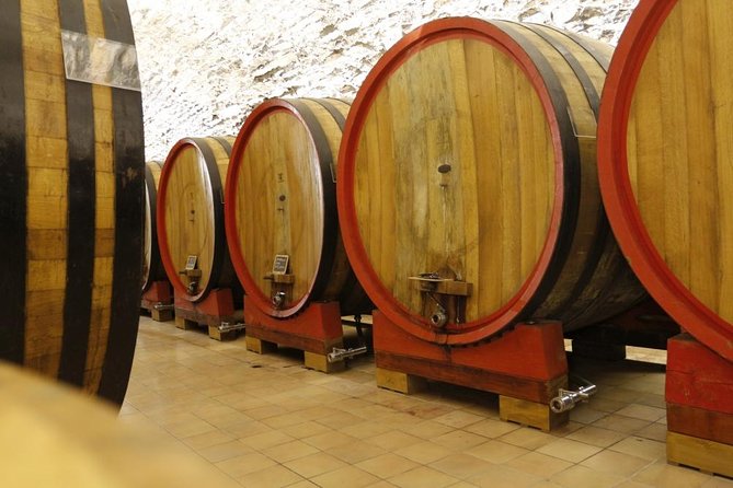 Verona art city, Valpolicella wine tasting full day private tour - What’s Included and What’s Not