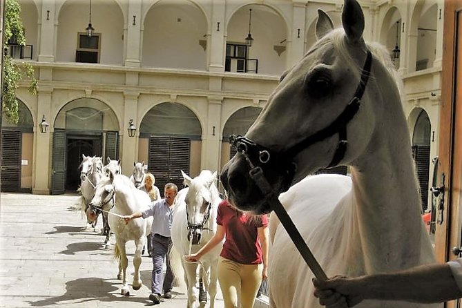 Vienna Inner City Highlights Private Walking Tour - The Sum Up: Why Choose This Tour?