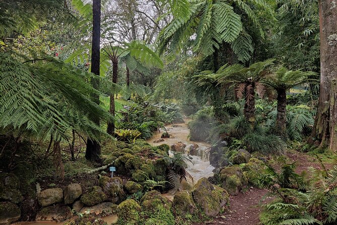 Volcano of Fogo and Furnas Private Tour - Who Is This Tour Best For?