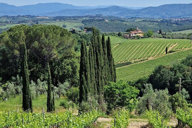 Wine Tour 6 hours 2 top wineries of Chianti Classico Limo Service - Final Thoughts: Who Will Love This Tour?