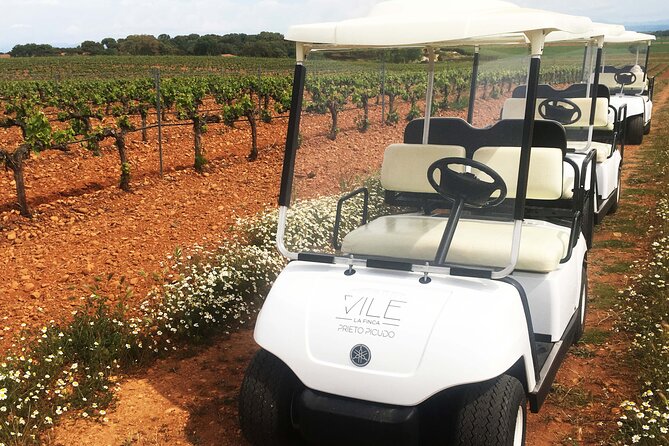 Wine tourism: Wine tasting - The Sum Up: A Distinctive Way to Discover León’s Vines