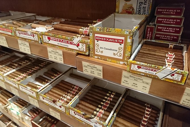 Winston Churchill's London and The Churchill War Rooms - A Private Tour. - Who is this tour perfect for?