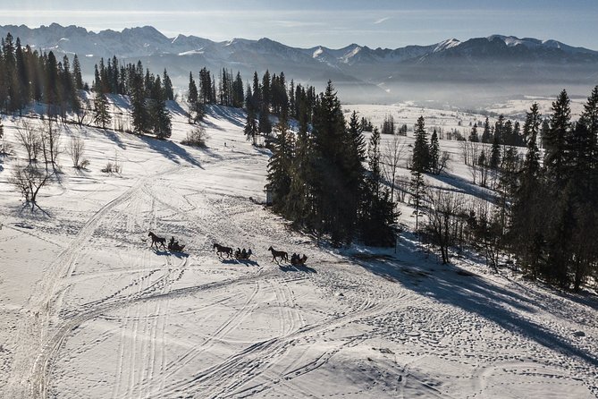 Zakopane and Horse Sleigh Ride in the countryside, private tour from Krakow - Final Thoughts