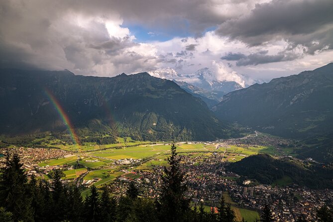 Zurich: Interlaken, Grindelwald & Harder Kulm Small Group Tour - The Experience from the Reviews