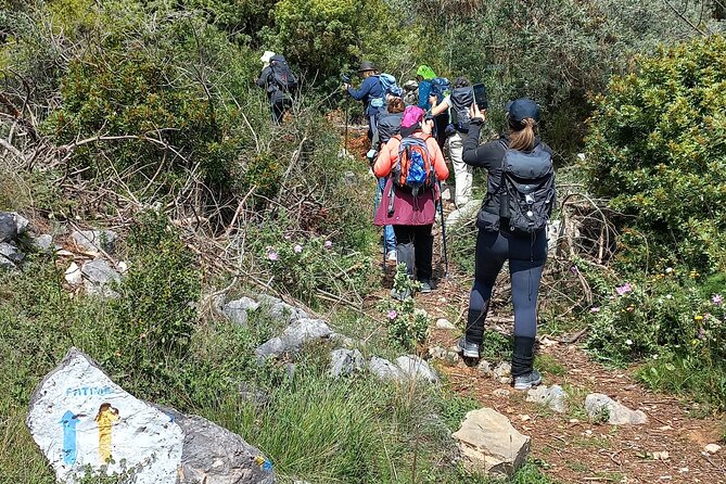 1 Day Pilgrimage Experience to Fátima - Authentic Insights from Past Participants