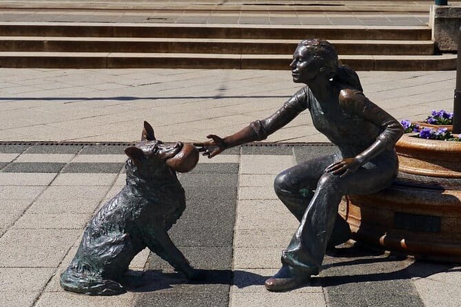 20 Dog-statues in Budapest - a unique tour - Who Should Book This Tour?