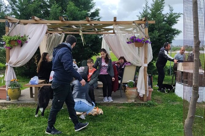 5 Hours Private Cooking Classes in Langadas Thessalonikis - Who Will Love This Experience?