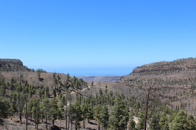 Adventure Driving Jeep Tour in Gran Canaria - FAQ