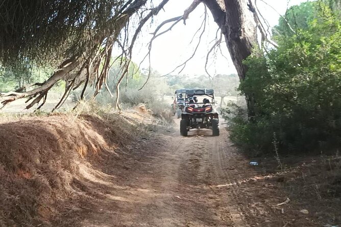 Albufeira 1.5 hour Off-Road Tour Buggy Adventure Tour - Who Should Consider This Tour?