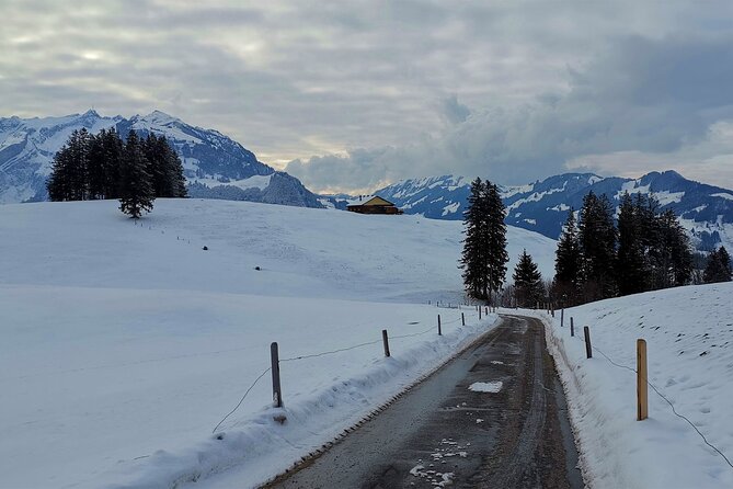 All Inclusive Rhine Falls and Appenzell Private Day Tour from Zurich - Who Will Love This Tour?