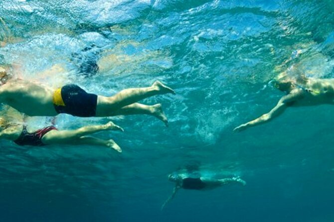 Amalfi Coast Swim Experience with Lifeguard - Price and Value: What Are You Paying For?