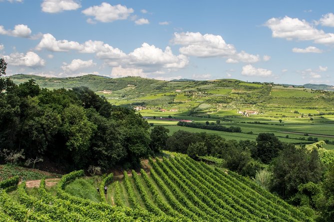 Amarone-Soave wine tour. Visit Verona. From Venice - Final Thought: Is This Tour Worth It?