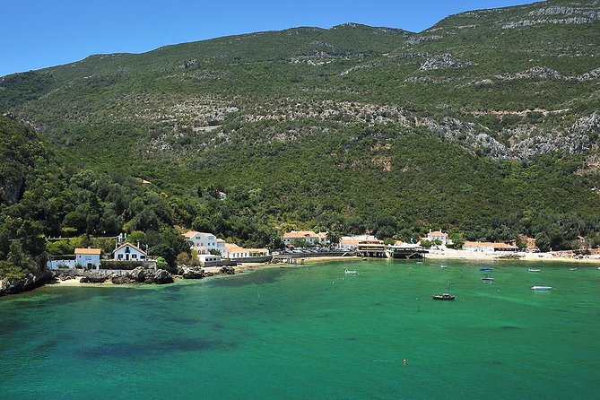 Arrábida and Setúbal Private Full Day Sightseeing Tour from Lisbon - Is This Tour Worth the Price?