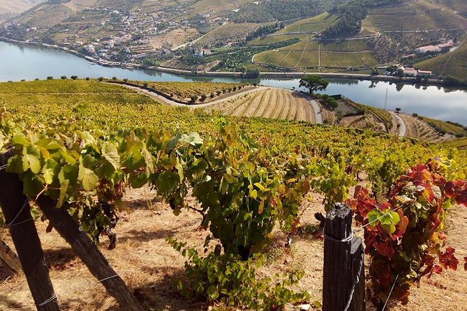 Authentic Douro Valley - small-Group Tour (Max 7) - Who Should Consider This Tour?