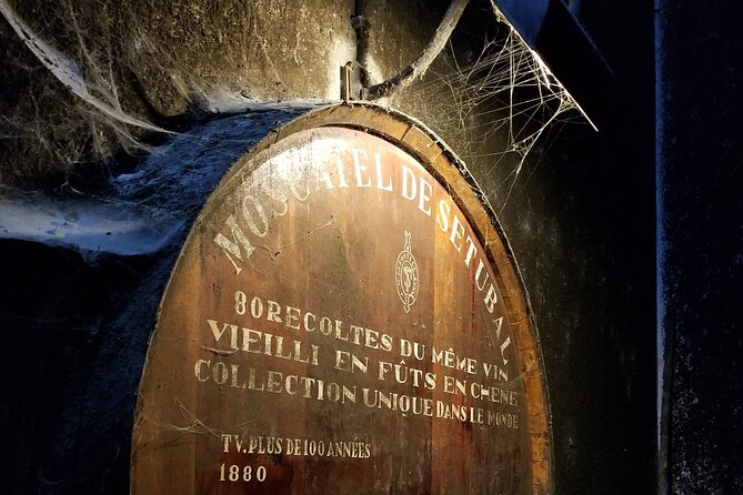 Azeitão Wines Tour and Stunning View Lisbon - Frequently Asked Questions