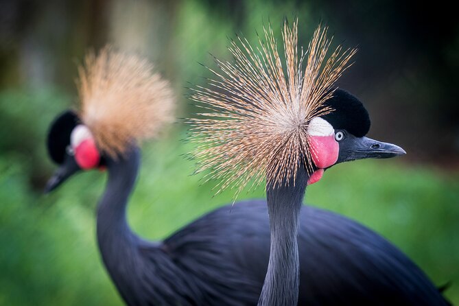 Barcelona Card: Museums + Transport for 72h, 96h or 120h - The Reviews: Voices from Travelers