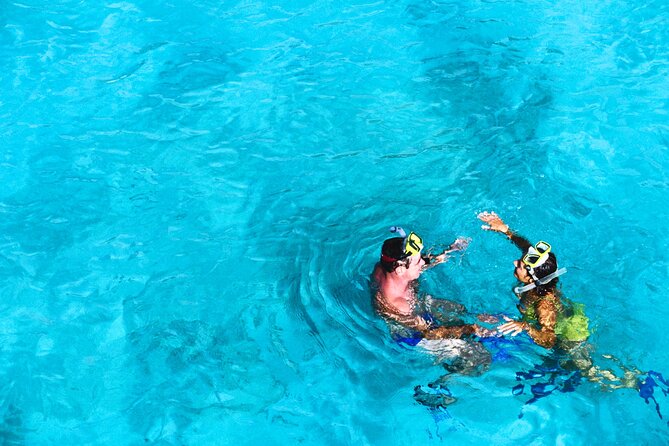 Blue Lagoon and 3 Islands Small Group Boat Tour - Who Will Love This Tour?