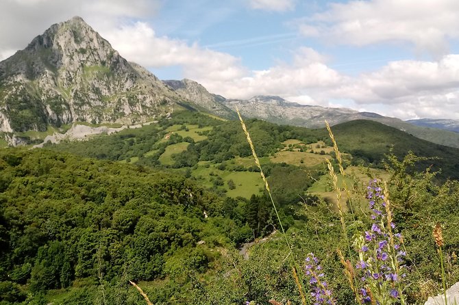 Canoeing, Cave & Collados Del Ason -small groups - The Sum Up: Is This Tour for You?