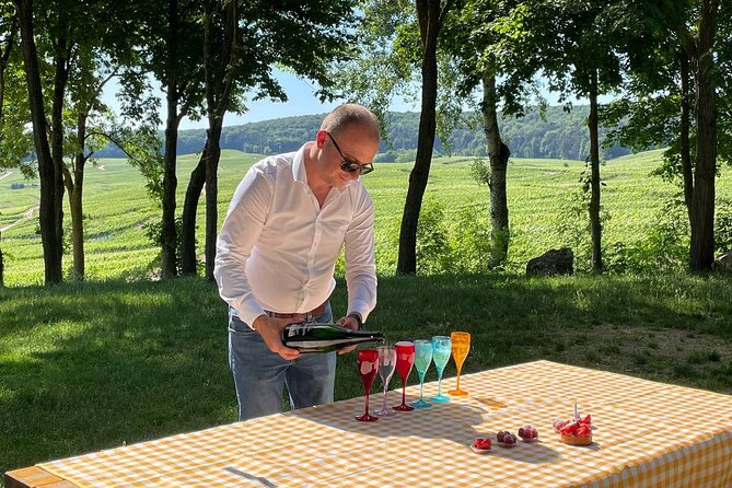 Champagne Small-Group Day Trip with Lunch and Tastings from Paris - What Visitors Say