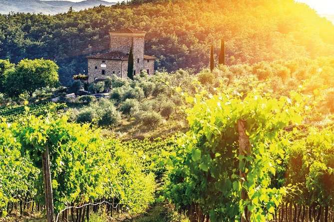 Chianti and Castle Small Group Tour from San Gimignano - FAQs