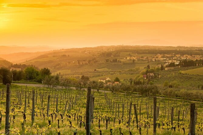 Chianti Wine Tour from Florence to San Gimignano with 2 Wineries - Returning to Florence