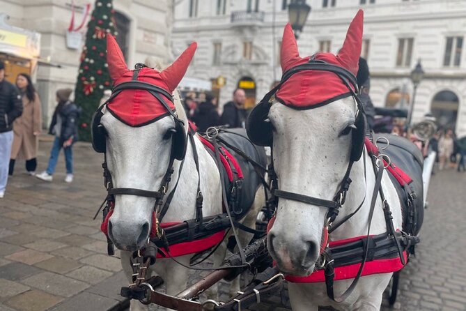 CITY QUEST VIENNA: uncover the secrets of this city! - Authenticity and Quality