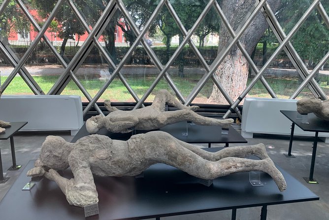 Daily Excursion Full Day 8 Hours ( Amalfi Ravello Pompei) - What Some Travelers Love Most