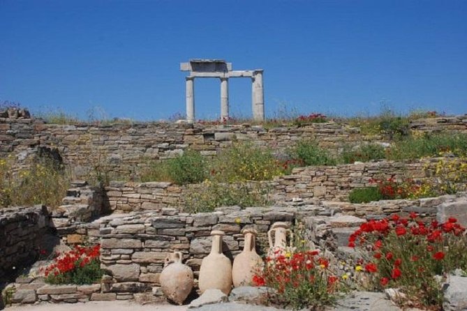 Delos Tour from Mykonos - The experience on the ground