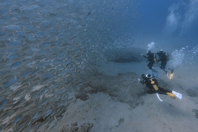 Discover Scuba Diving in Puerto de Mogan - The Bottom Line: Is It Worth It?