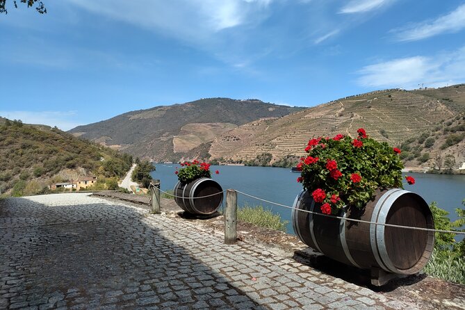 Douro Valley full experience with limited small group - A Well-Balanced, Value-Driven Experience