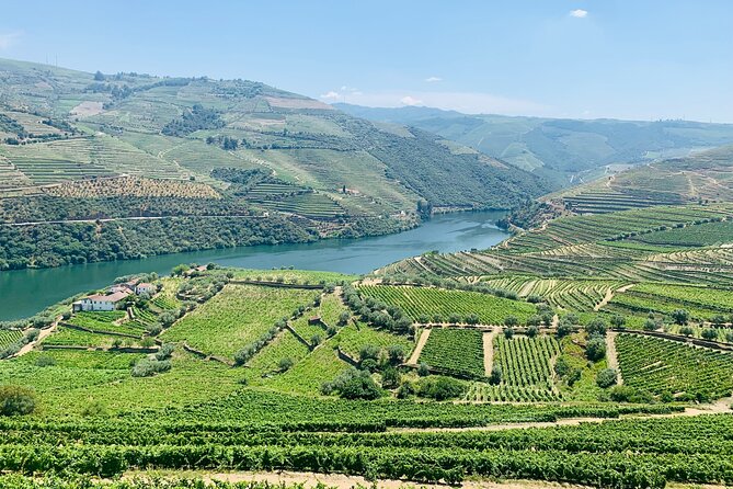 Douro Valley private tour includes wine tasting and boat trip - Authentic, Enjoyable, and Well-Rated