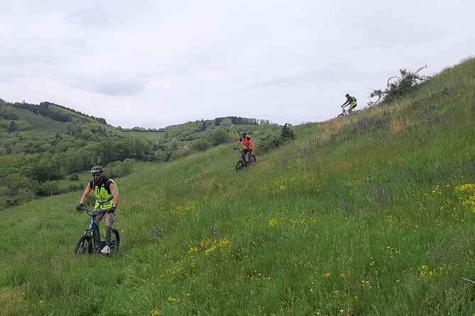 Electric scooter ride in the West of Lyon - Who Should Consider This Tour?