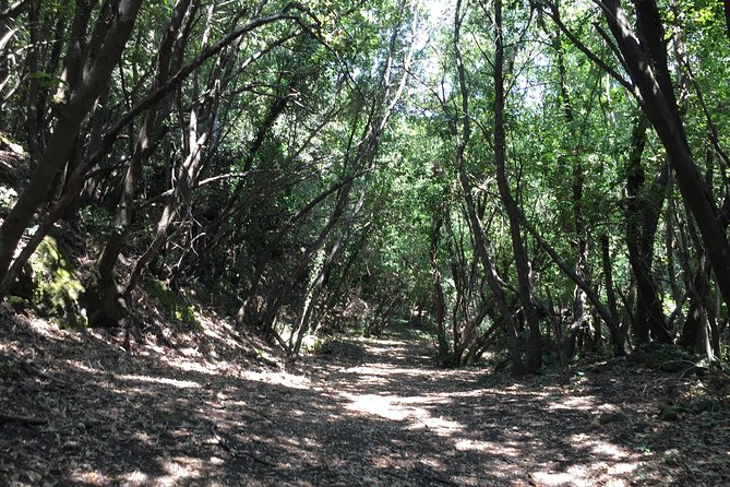 Etna Tour for Cruises (from the port of Catania) - FAQ