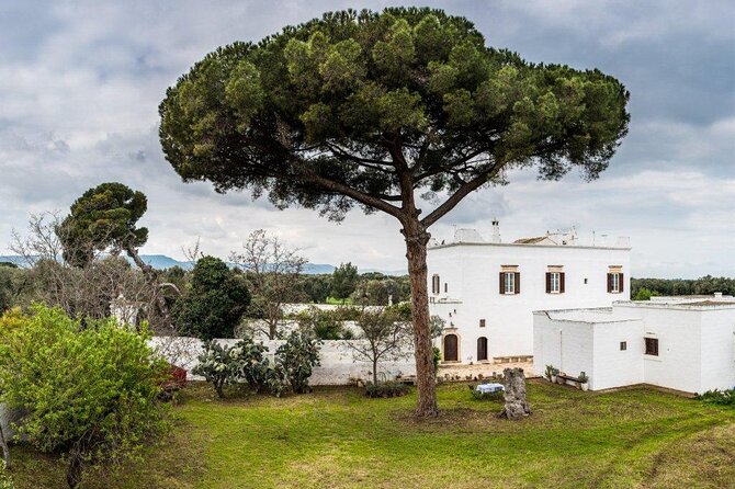 EVO Oil Tasting in Masseria in Ostuni - Authenticity and Reviews: What Travelers Say