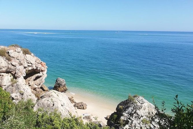 Family Beach day in Region of Lisbon - Setúbal - FAQs