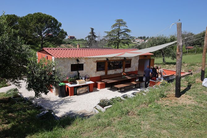 Focaccia and Pesto Cooking Class in the Roman Countryside - Who Will Love This Experience?